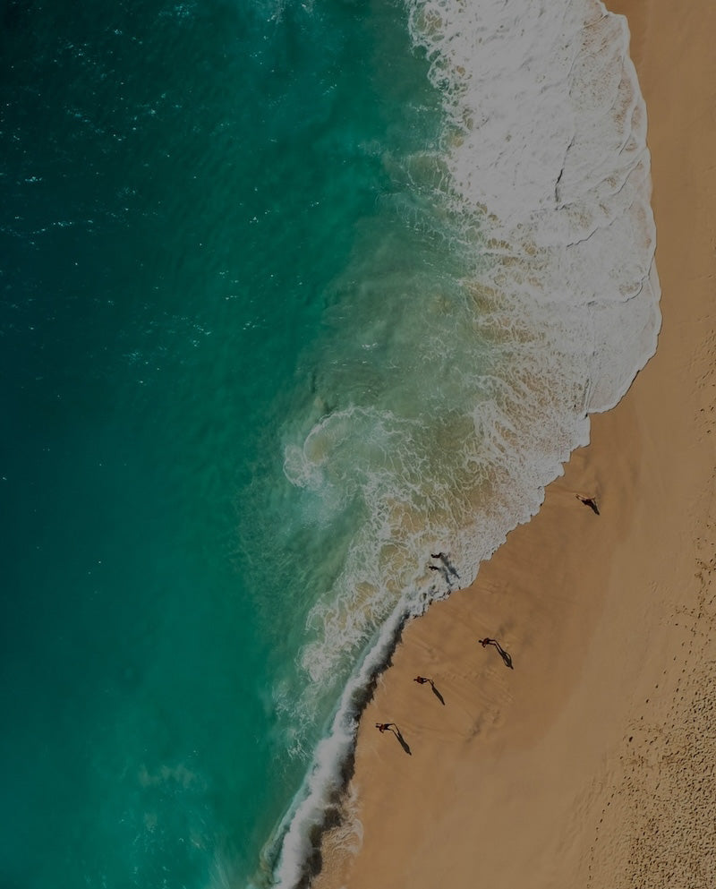 Ocean-inspired Lifestyle Apparel Brand | Shaka Kai